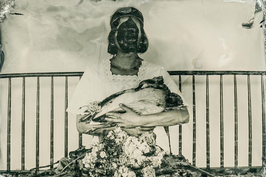 Dan Hawkins | Seattle Art Museum