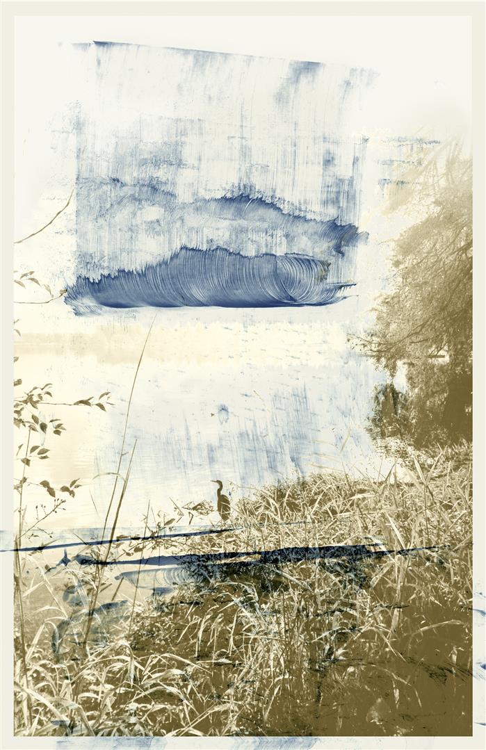 See Contemporary Work by Local Northwest Artists at SAM Gallery